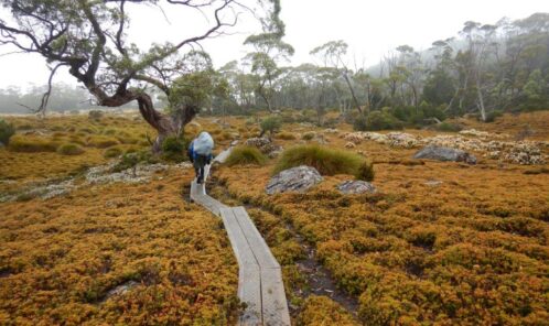 Overland Track Tasmania Guided Tours | Wild Trek Tours