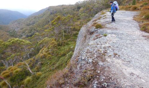 Overland Track Tasmania Guided Tours | Wild Trek Tours